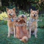 20 Funny Middle Child Memes That Are Relatable In 2025