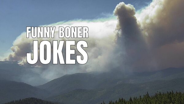 60 Funny Boner Jokes For The Pretty Hard Laughs