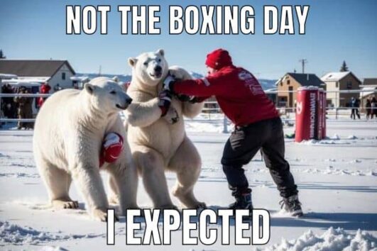 20 Best Boxing Day Memes For Post-Holiday Fun In 2025