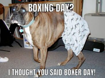 20 Best Boxing Day Memes For Post-Holiday Fun In 2025