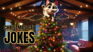 30 Funny Christmas Cat Jokes Fur You Right Meow