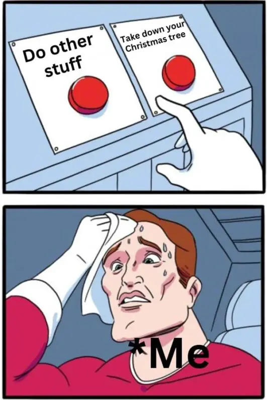 20 Best After Christmas Memes To Share On 26 December