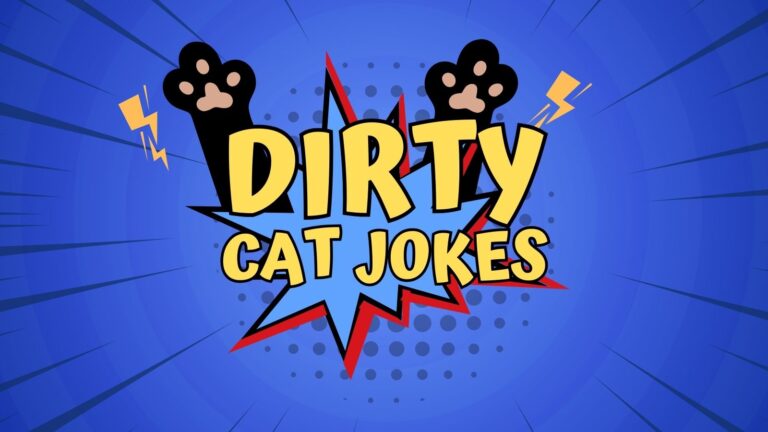 60 Dirty Cat Jokes For Naughty Adults Only
