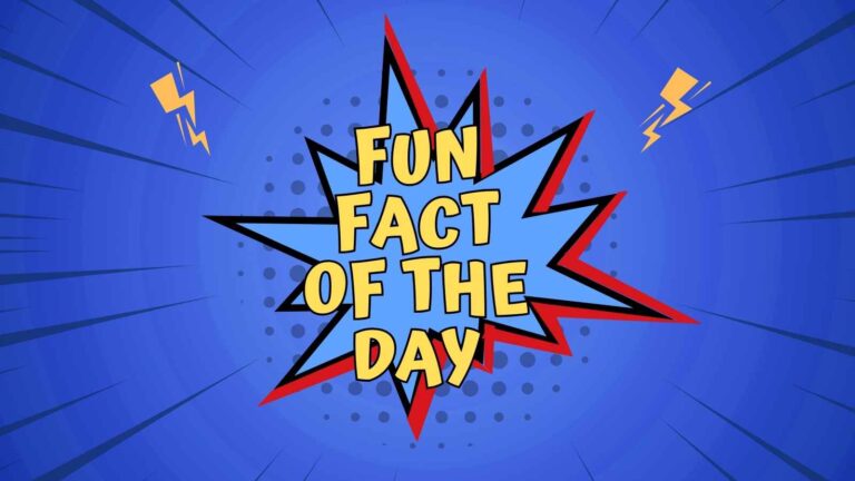 50 Funny Fog Jokes To Clear Up Your Gloomy Day