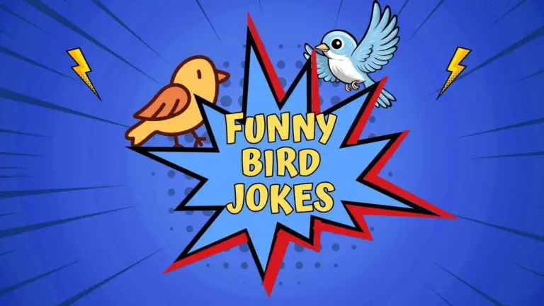 60 Funny Penguin Jokes For A Cool Laugh