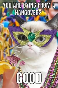 20 Funny Mardi Gras Memes To Make 2026 Carnival Better