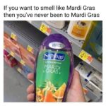 20 Funny Mardi Gras Memes To Make 2026 Carnival Better